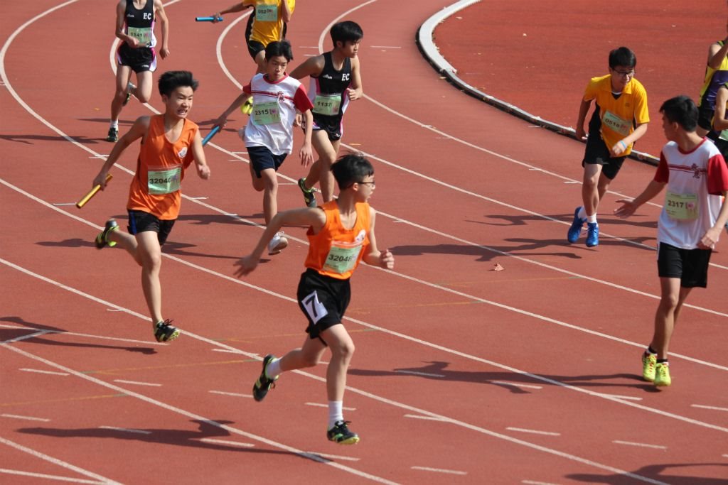 HKSSF Tai Po and North District Secondary Schools Area Committee Inter ...